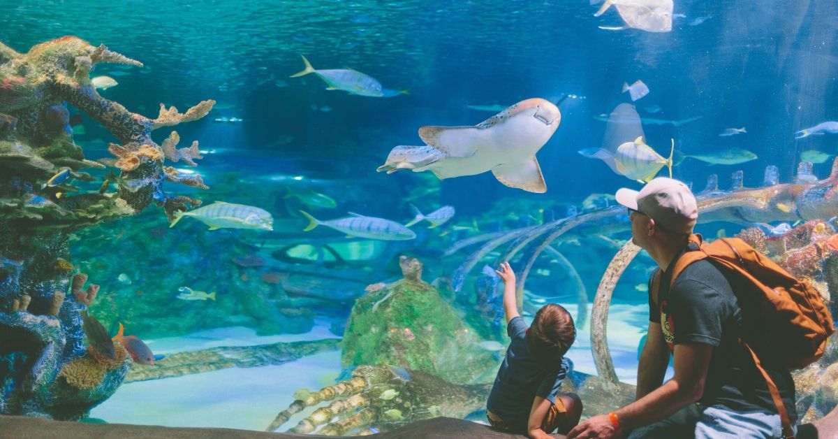 35 Best Experience Gifts for Your Kids - Meredith Plays