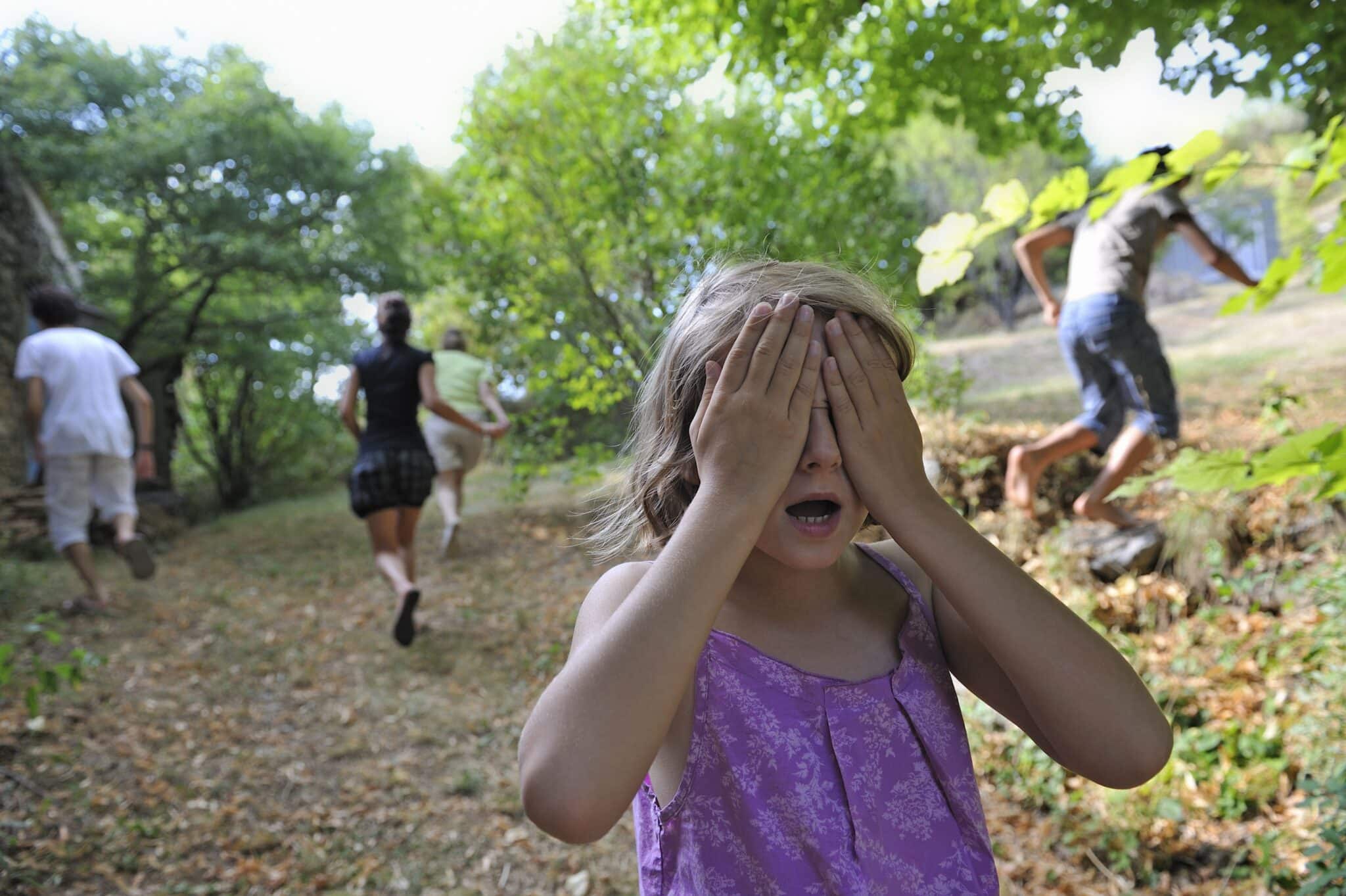 15 Interesting Hide and Seek Games - Meredith Plays