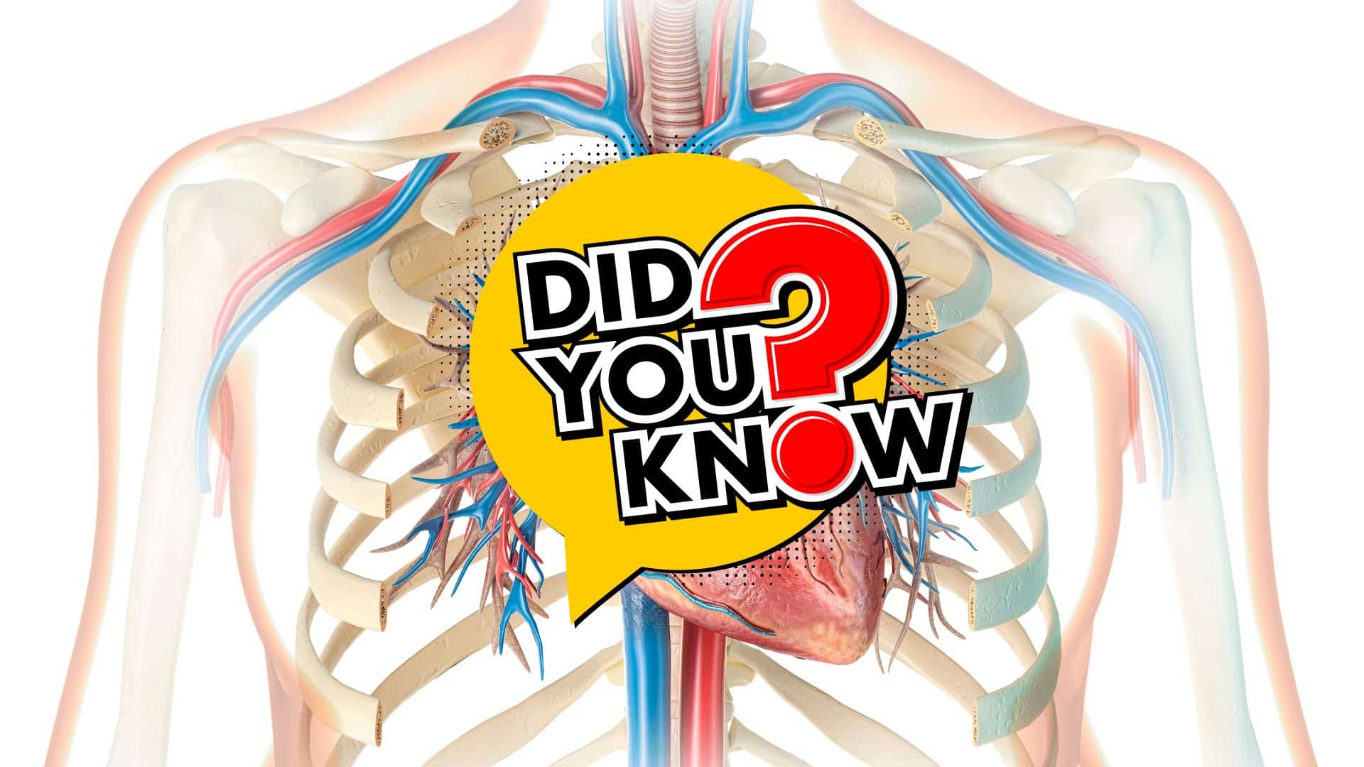 251+ Surprising Human Body Trivia Facts - Meredith Plays