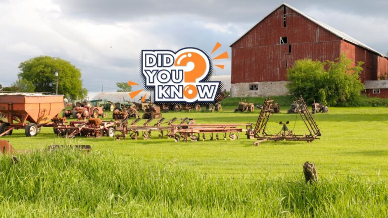 201+ Best Farm Trivia Questions You Didn't Know - Meredith Plays