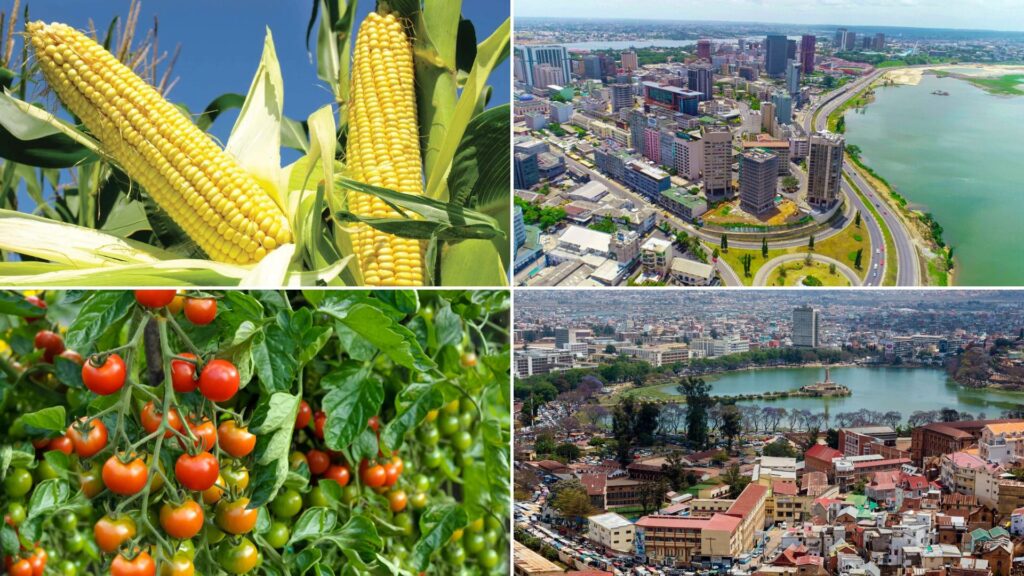 201+ Best Farm Trivia Questions You Didn't Know - Meredith Plays