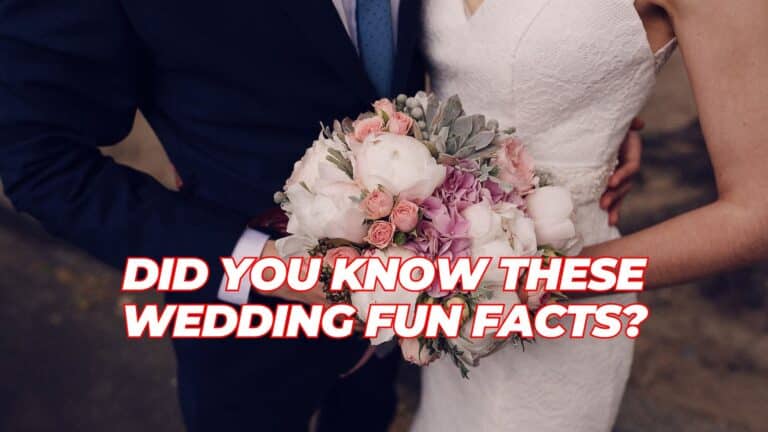 151+ Wedding Trivia Questions for a Fun-filled Celebration - Meredith Plays