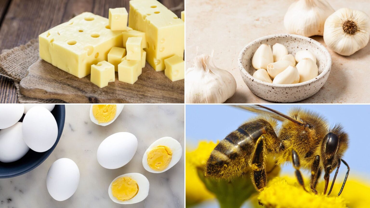 201+ Best Farm Trivia Questions You Didn't Know - Meredith Plays