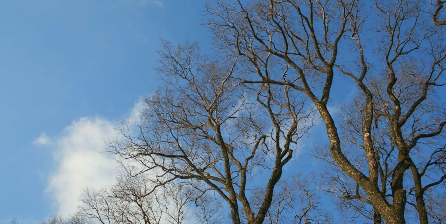 151+ Fun March Trivia Questions and Answers for All Ages - Meredith Plays