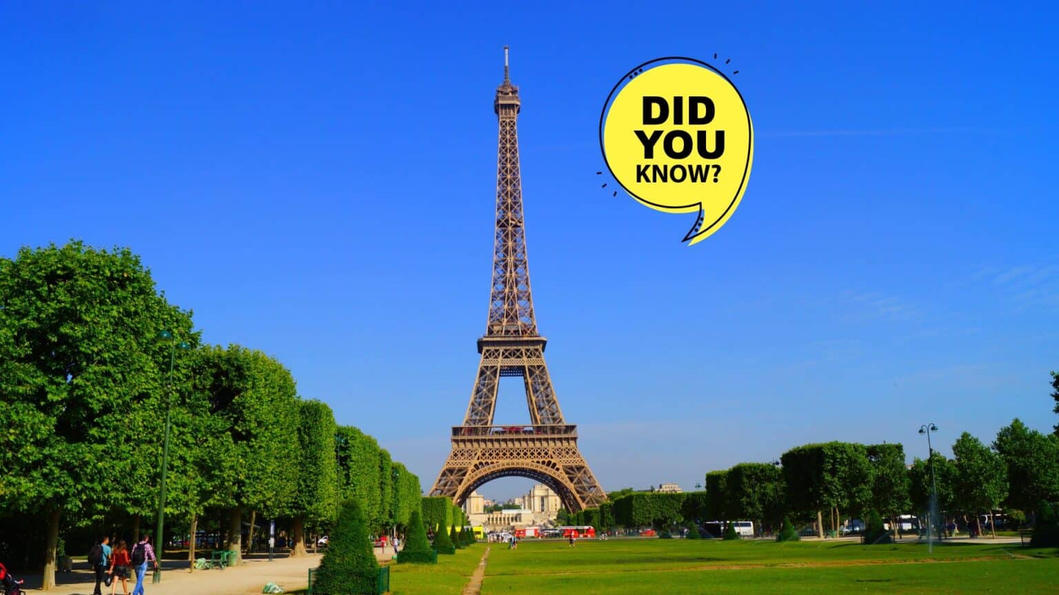 201+ Must-Know French Trivia Facts to Impress Your Friends - Meredith Plays