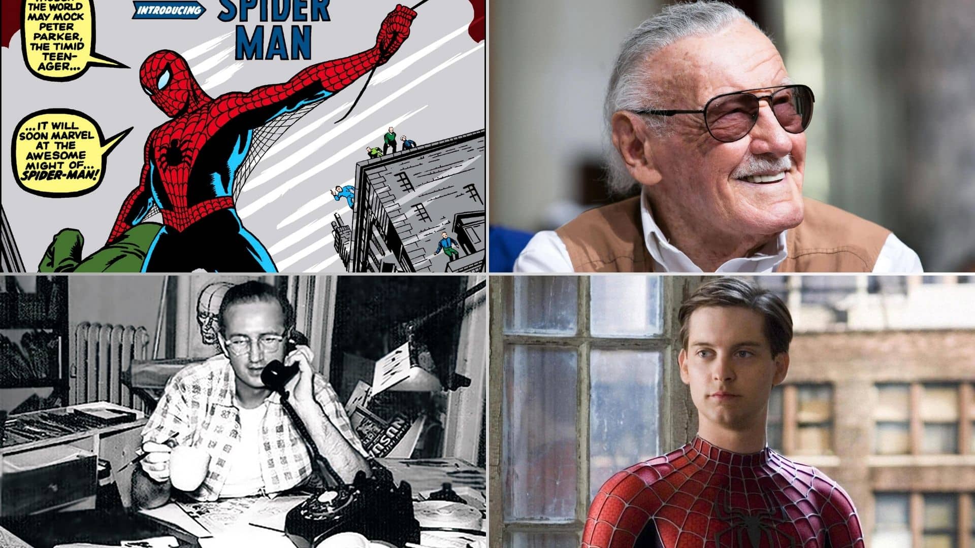 301+ Surprising Spiderman Trivia Every Fan Should Know - Meredith Plays