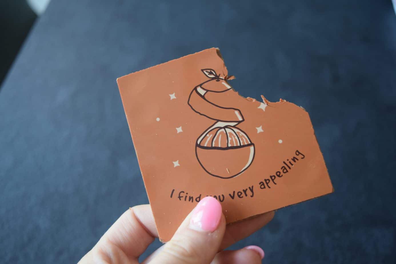 251+ Chocolate Puns for Chocolate Lovers - Meredith Plays