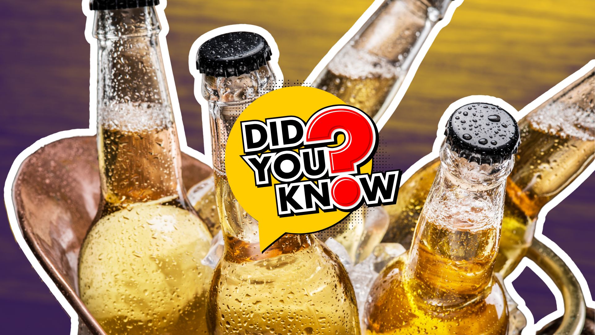 251+ Ultimate Beer Trivia Questions for Your Next Party - Meredith Plays