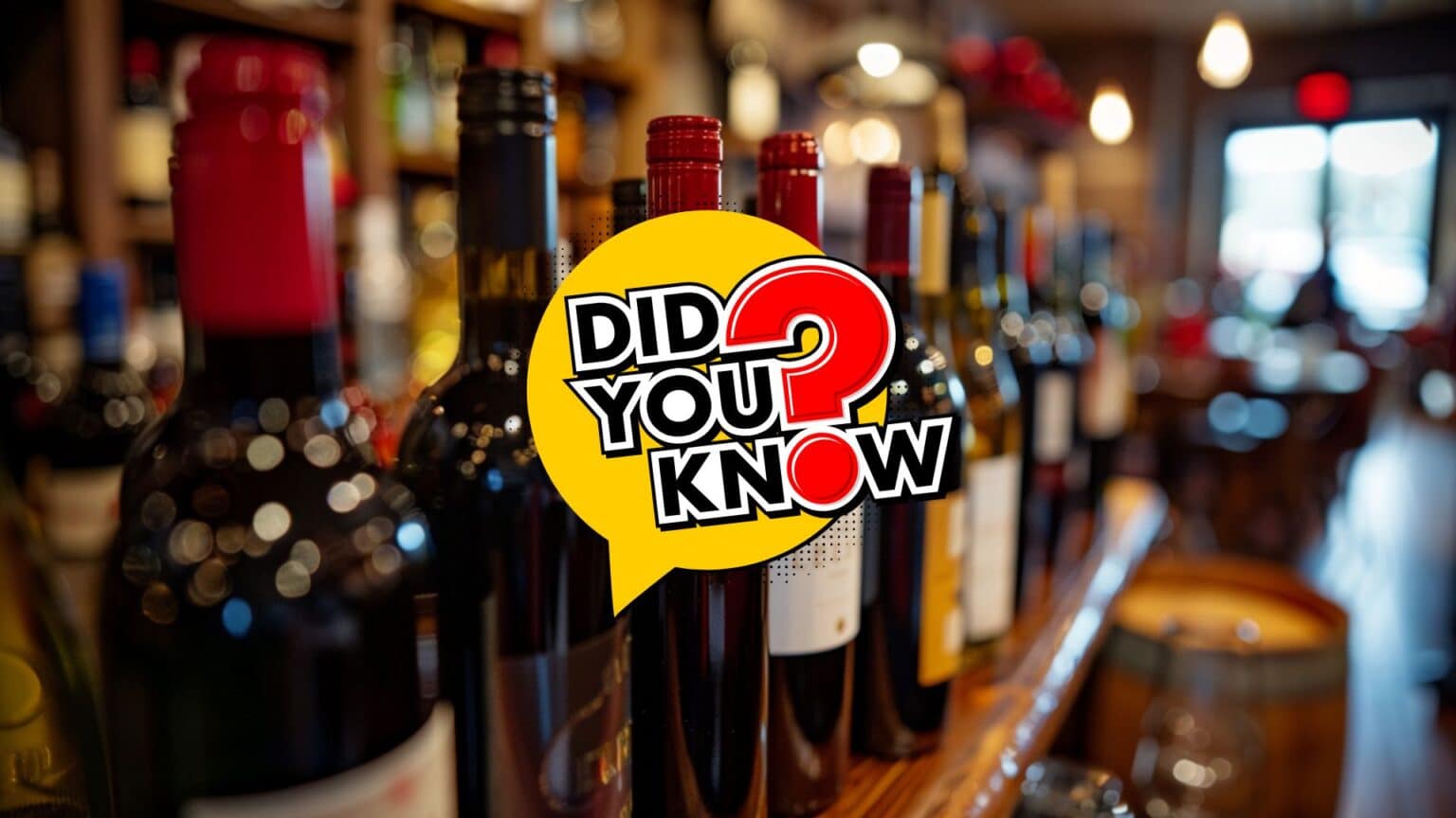 151+ Surprising Wine Trivia Facts You Didn't Know - Meredith Plays