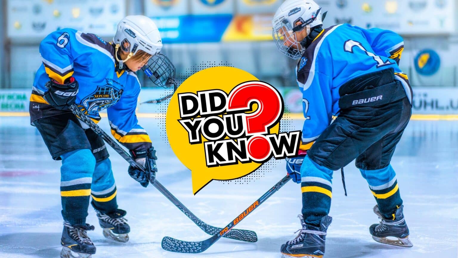 217+ Hockey Trivia Questions You've Never Heard Before - Meredith Plays