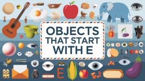 A Comprehensive List of 110 Items that Start with E - Meredith Plays