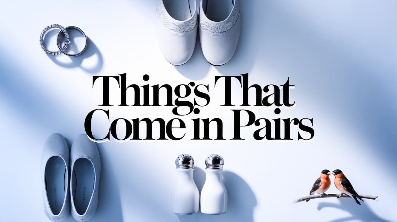 A Comprehensive List of Things That Come in Pairs - Meredith Plays
