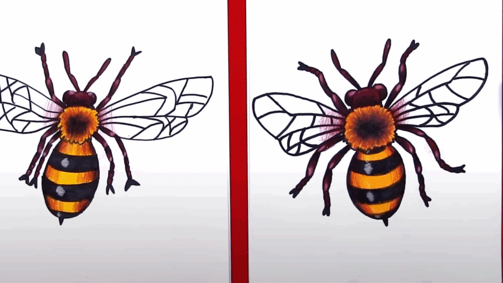 Bee Easy Drawing 2025 - Meredith Plays